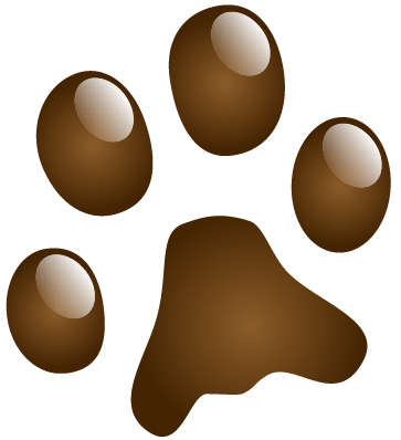 BIHELDON – Dog and Cat Broad Spectrum Dewormer 30 Tablets - PetsWorm